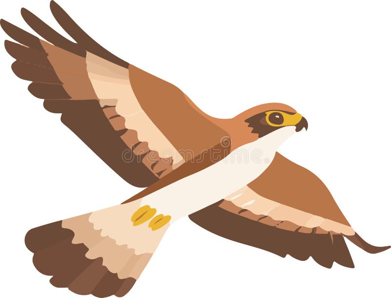 Simple Vector Harrier Clipart Stock Vector - Illustration of cartoon ...