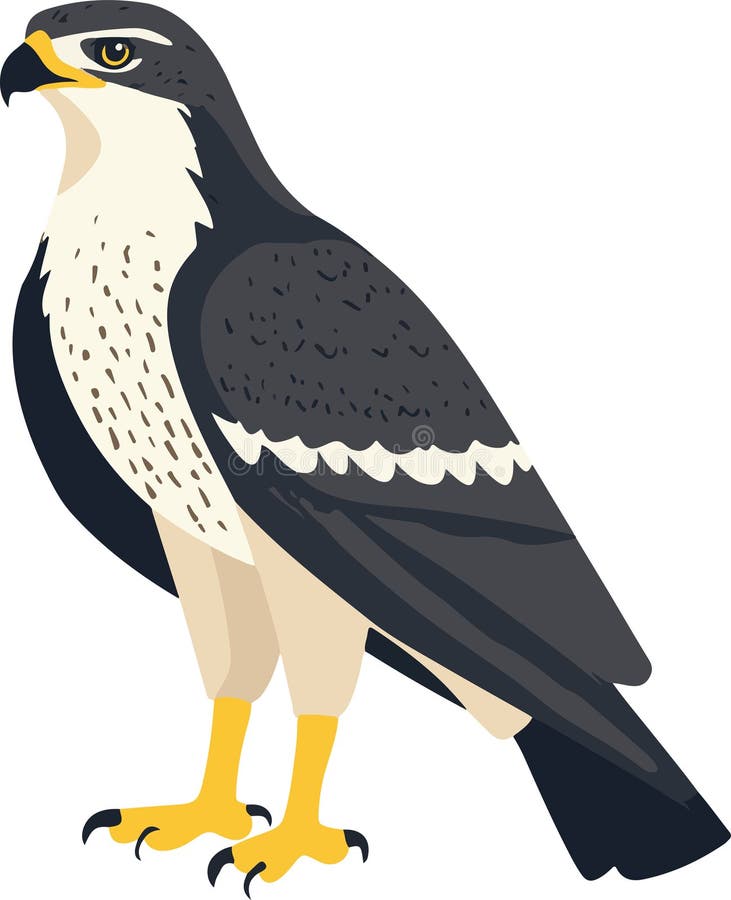 Simple vector hawk clipart stock vector. Illustration of icons - 350476724