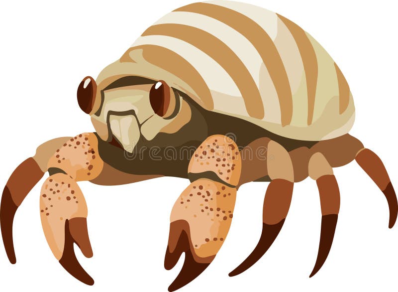 Simple Vector Hermit Crab Clipart Stock Vector - Illustration of hermit ...