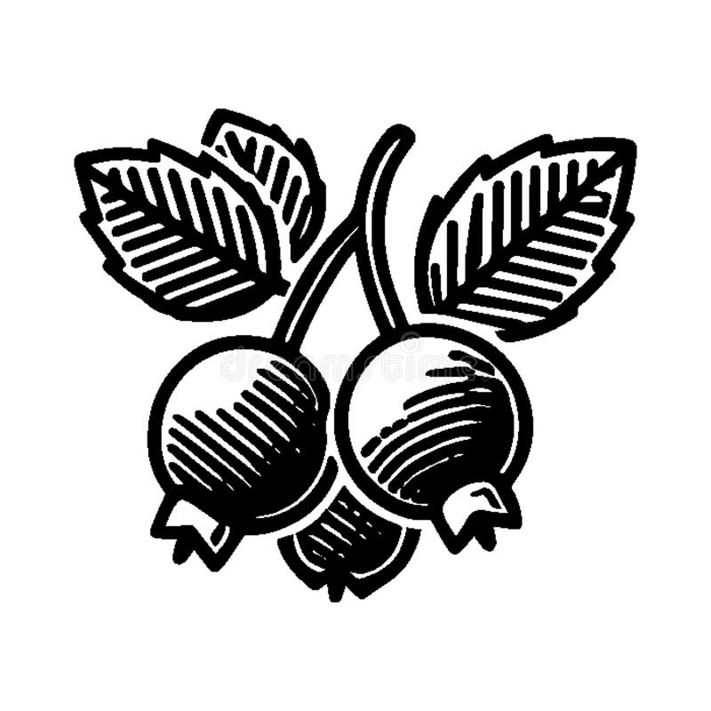 Berries Icon Vector Logo Simple Design Illustration Style. Stock Vector ...