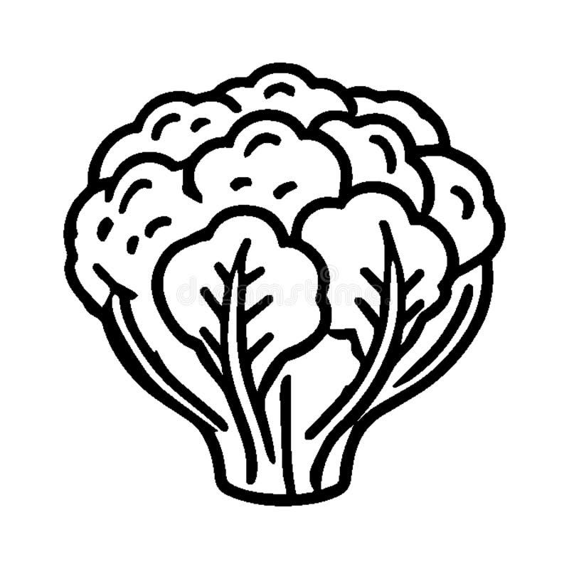 Simple Vector Icon of Cauliflower Logo Design Illustration. Stock ...