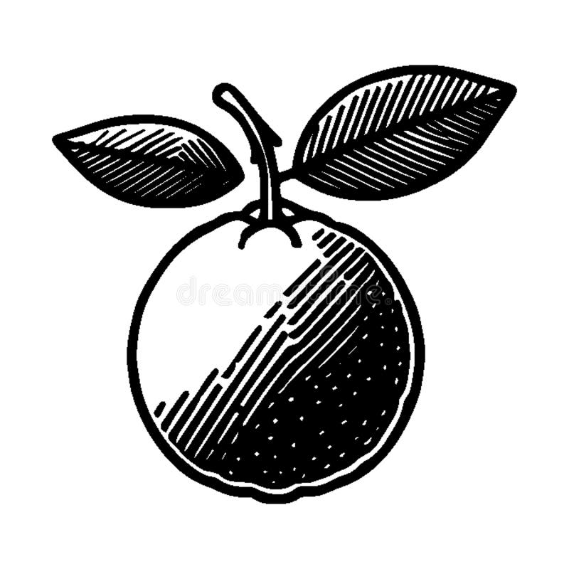 Chinotto Logo Stock Illustrations – 7 Chinotto Logo Stock Illustrations ...