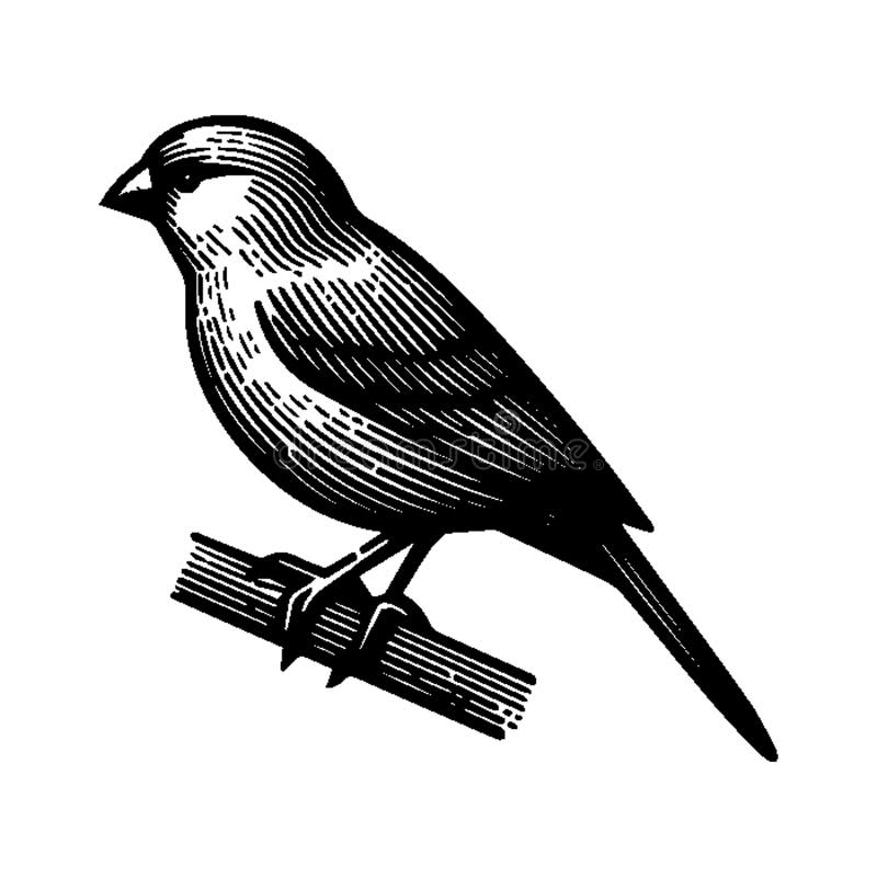 Simple Vector Icon Darwins Finches Logo Design Illustration. Stock ...