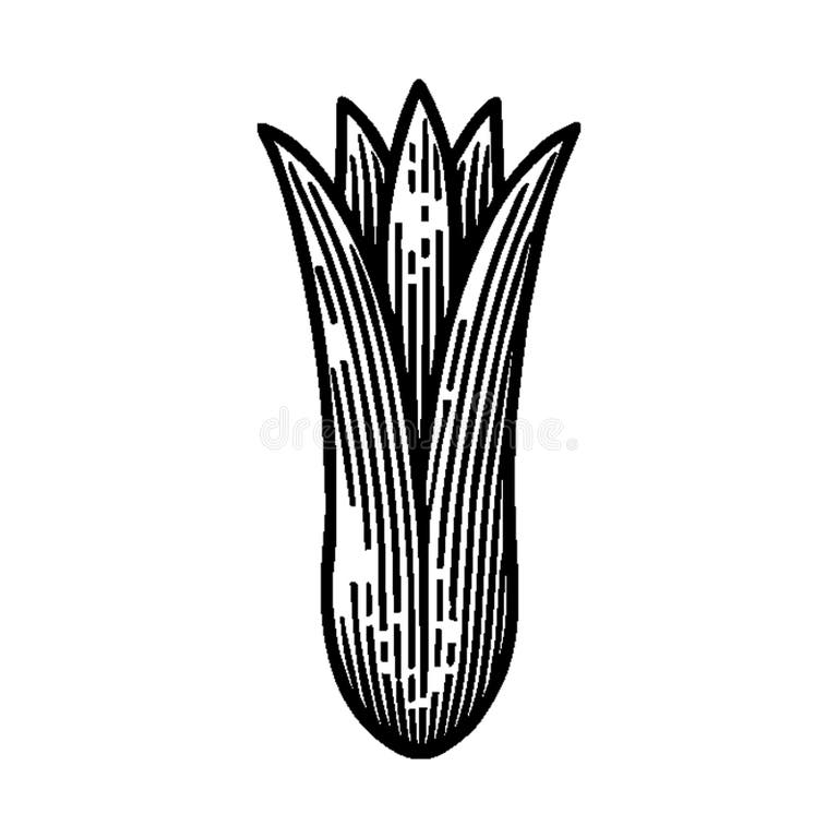 Leek Icon Vector Logo Simple Design Illustration Style. Stock Vector ...