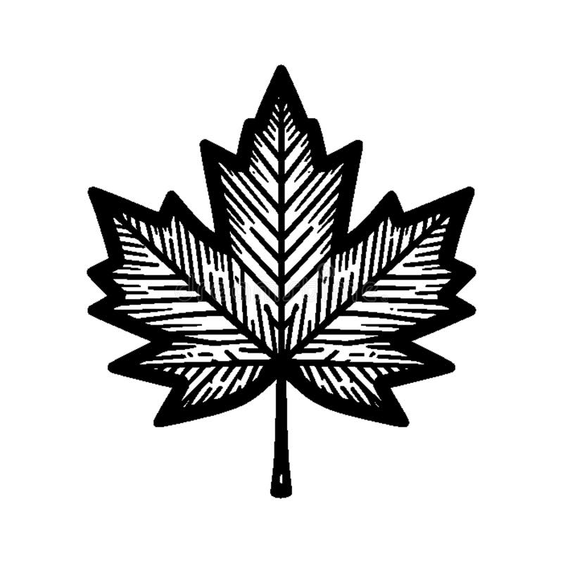 Simple Vector Icon of Maple Leaf Canada Logo Design. Stock Vector ...