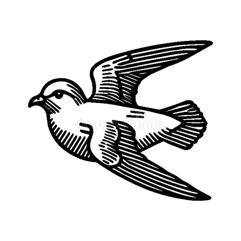 Simple Vector Icon of Masatierra Petrel Logo Illustration. Stock Vector ...