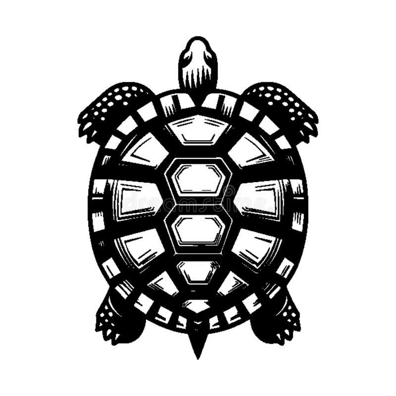 Simple Vector Monte Desert Tortoise Logo Design Illustration Icon ...