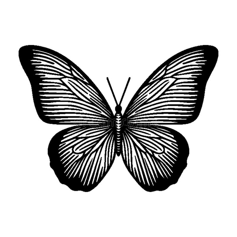 Morpho Butterfly Logo with Simple Vector Icon Illustration Design ...