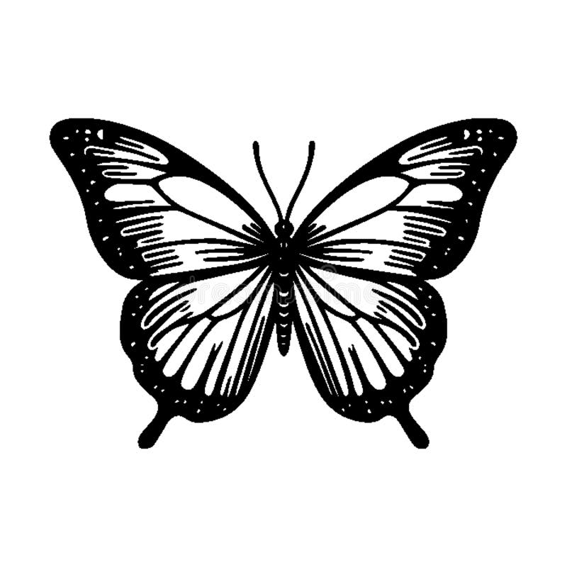 Morpho Butterfly Logo Design with Simple Vector Icon Illustration ...