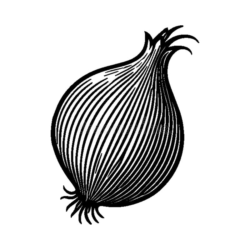 Simple Vector Icon of Onion Logo Design Illustration. Stock Vector ...