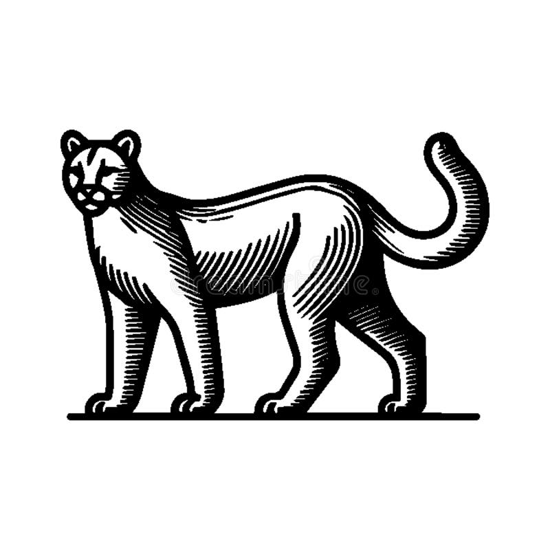 Patagonian Puma Logo Illustration Stock Illustrations – 5 Patagonian ...