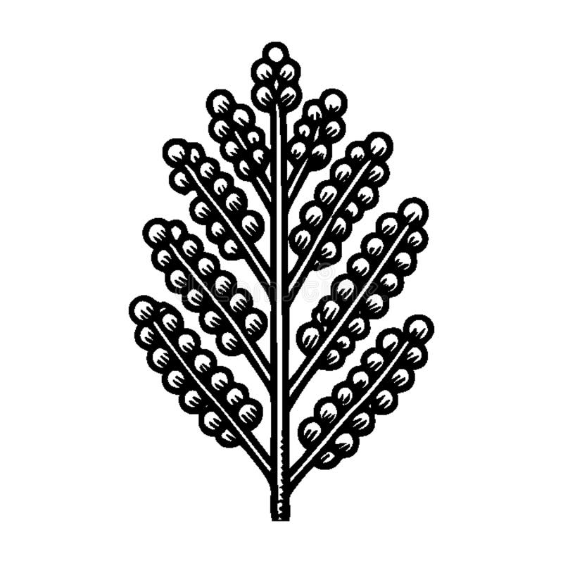 Simple Vector Icon of Quinoa Logo Design Illustration. Stock Vector ...