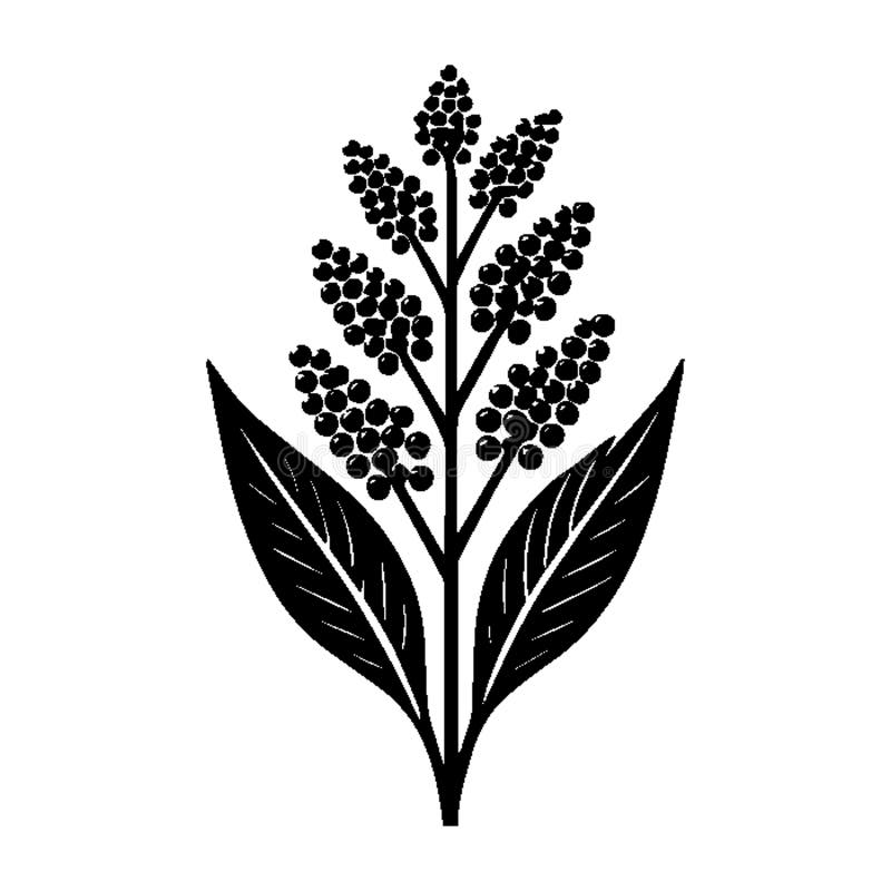 Quinoa Icon Vector Logo Simple Design Illustration Style. Stock Vector ...