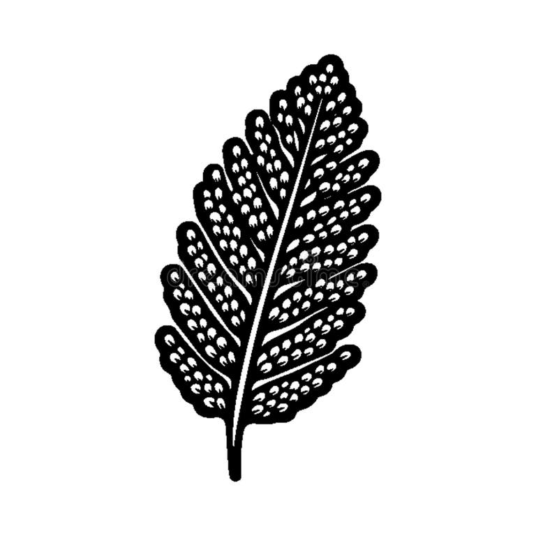 Quinoa Simple Vector Icon Logo Design Illustration. Stock Vector ...