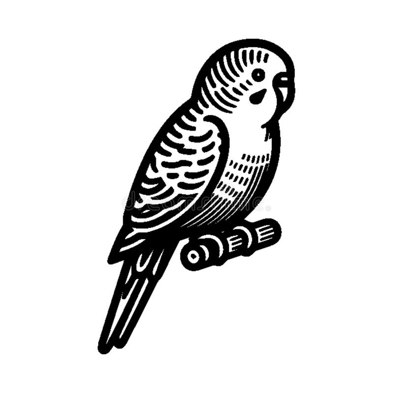 Marta Parakeet Logo Stock Illustrations – 5 Marta Parakeet Logo Stock ...