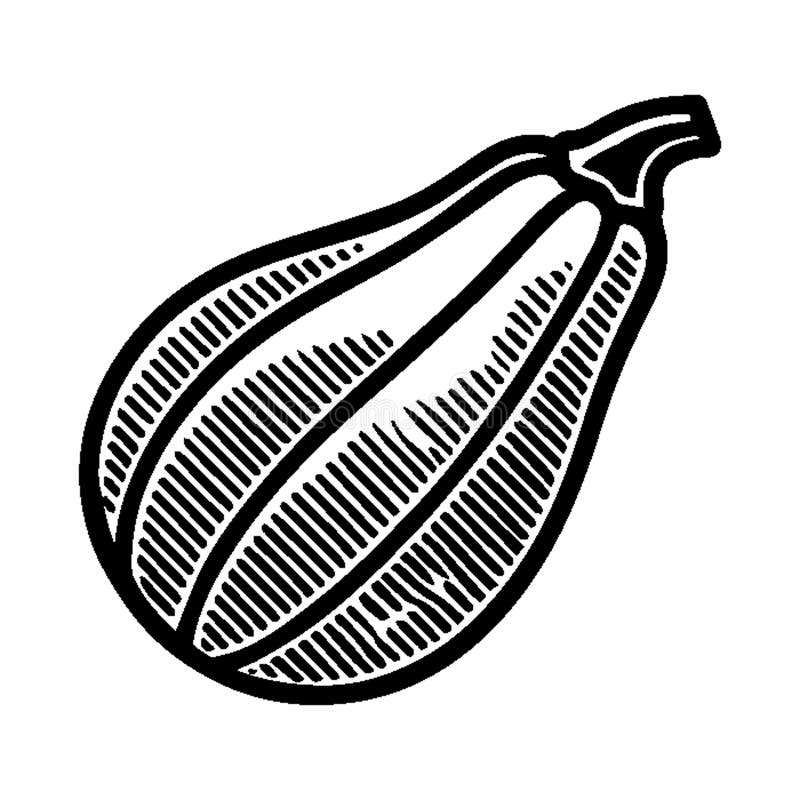 Simple Vector Icon of Squash Logo Design Illustration. Stock Vector ...