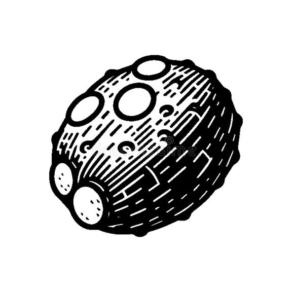 Simple Vector Icon of Tapioca Logo Design. Stock Vector - Illustration ...