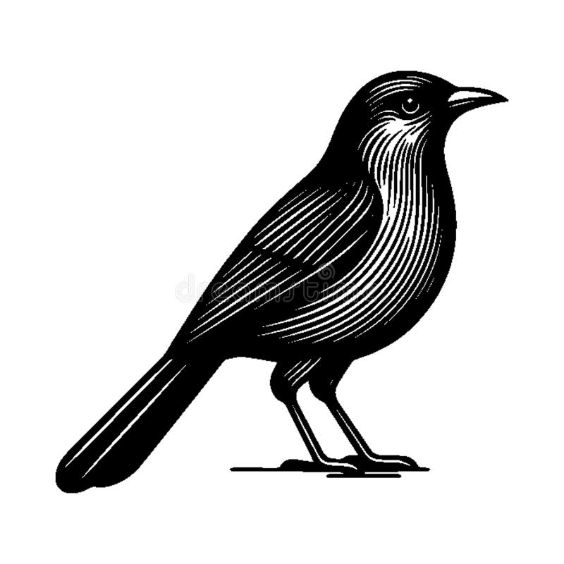 Troupial Icon Logo Design Illustration Stock Illustrations – 7 Troupial ...