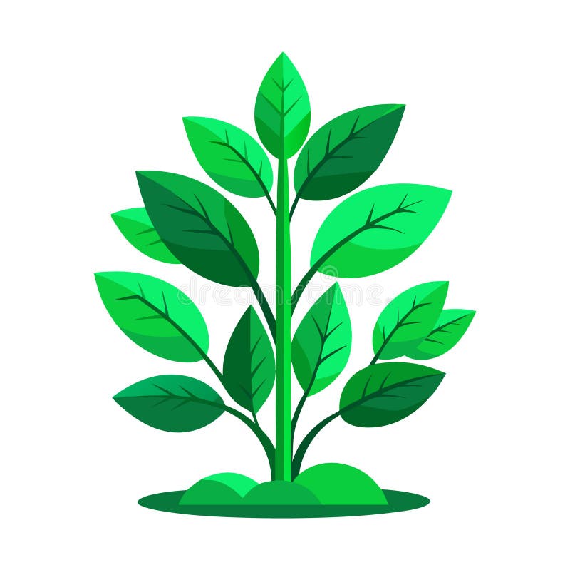 Simple Vector Illustration of a Green Plant with Multiple Leaves on a ...