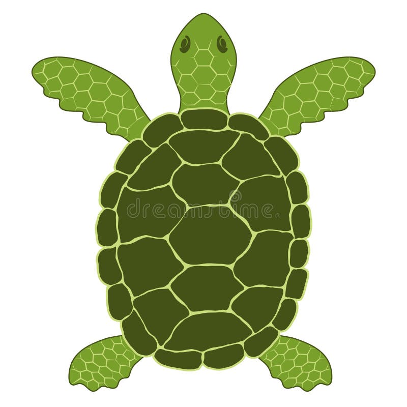 Simple Vector Illustration of a Green Sea Turtle Chelonia Mydas Stock ...