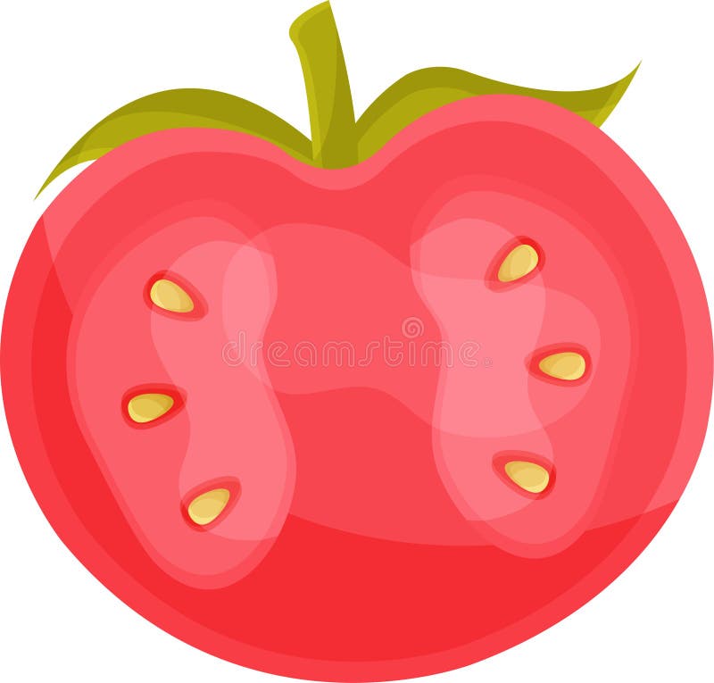 Simple Vector Illustration of Tomato, Illustration of Autumn Vegetables ...