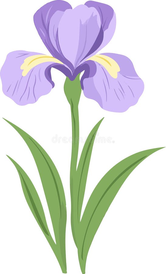 Simple vector iris clipart ilustración del vector. Ilustración de extracto - 350476924