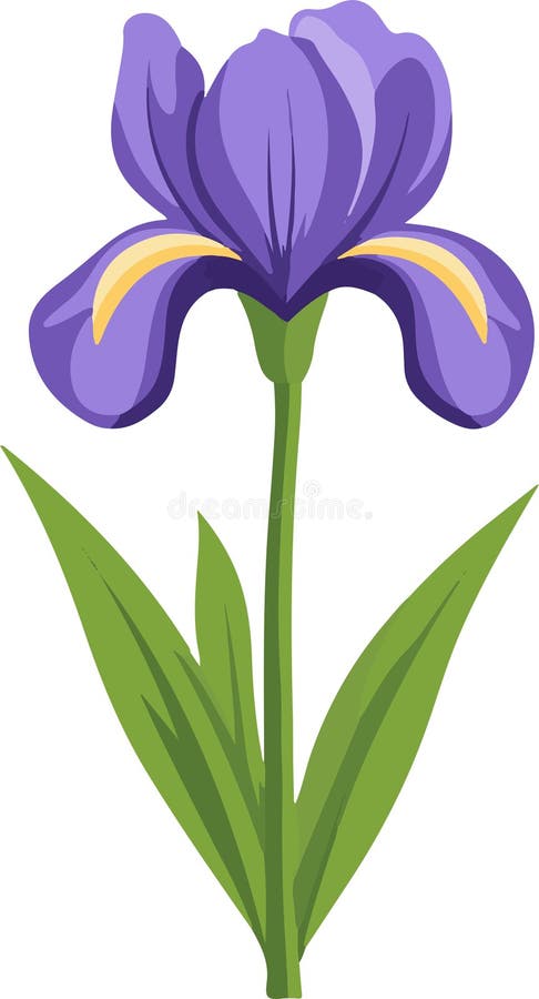 Simple vector iris clipart stock vector. Illustration of graphic ...