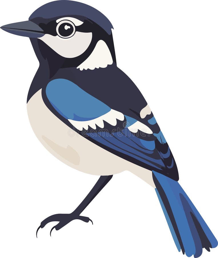 Simple vector jay clipart stock vector. Illustration of decorative ...