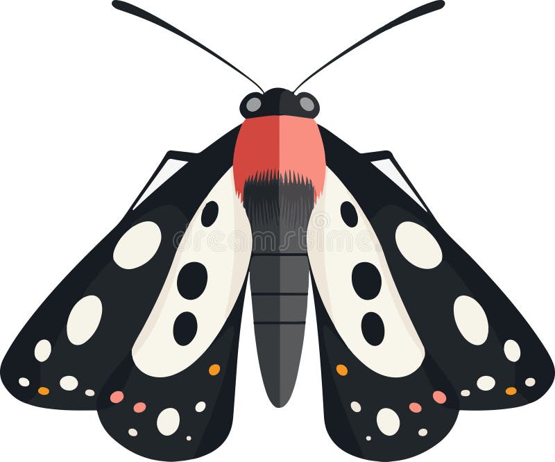 Simple Vector Jumping Bean Moth Clipart Stock Vector - Illustration of ...