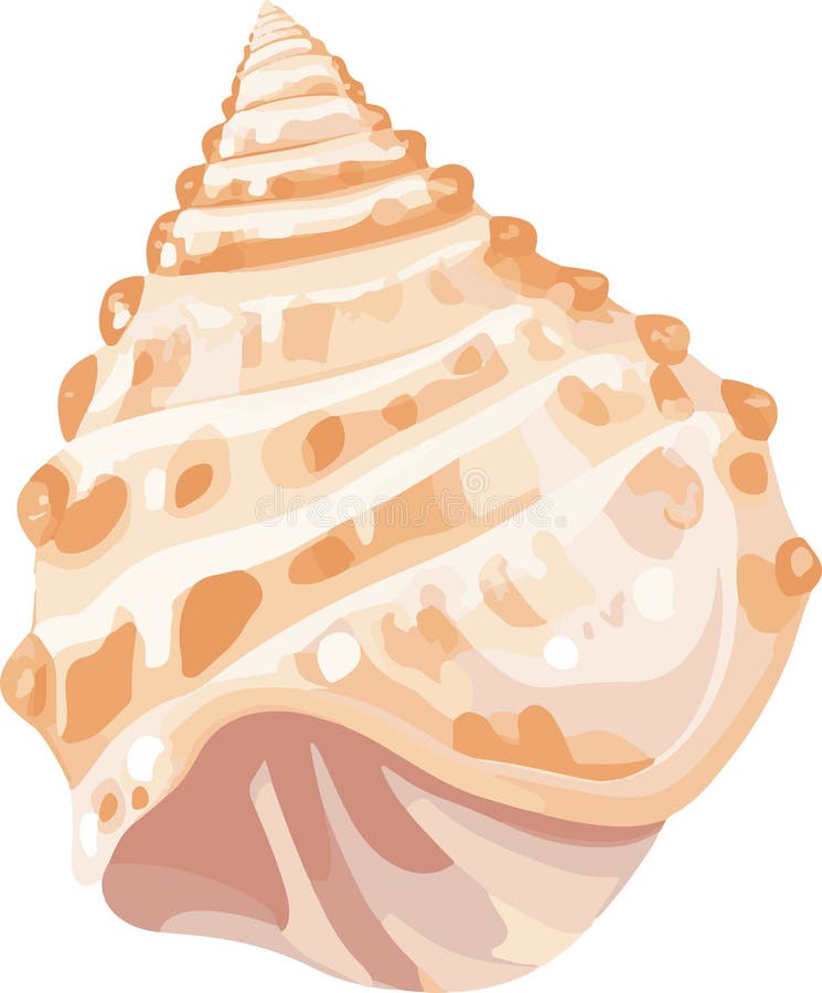 Simple Vector Knobbed Whelk Clipart Stock Vector - Illustration of ...