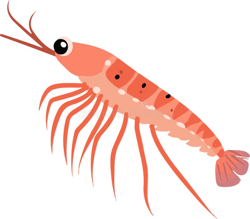 Simple Vector Krill Clipart Ilustración del Vector - Ilustración de historieta, profesional ...