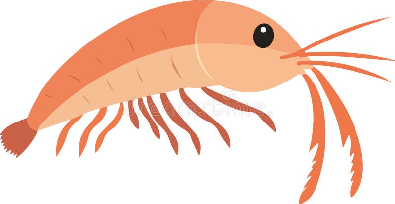 Simple Vector Krill Clipart Stock Vector - Illustration of abstract ...