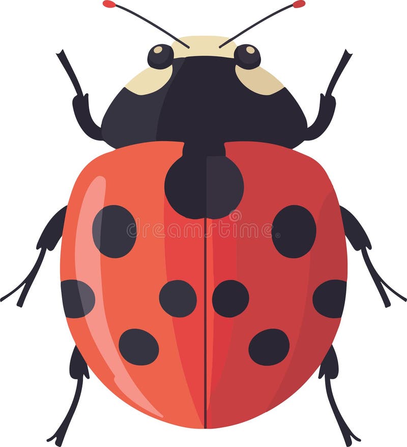 Simple Vector Ladybug Clipart Stock Vector - Illustration of ...