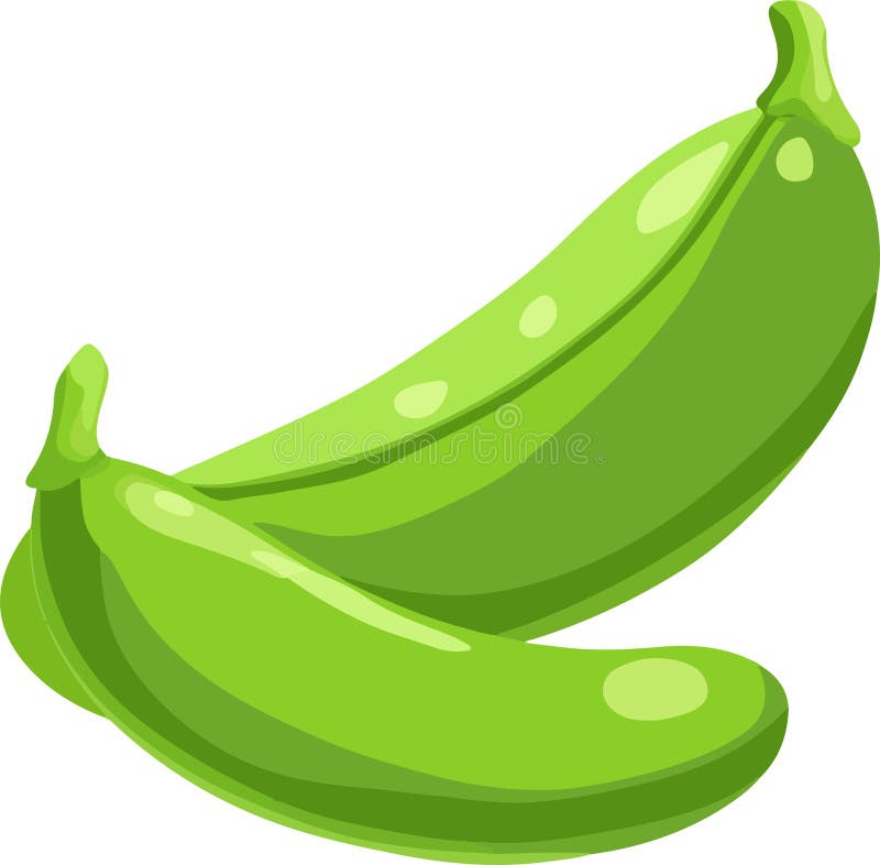 Simple Vector Lima Bean Clipart Stock Vector - Illustration of abstract ...