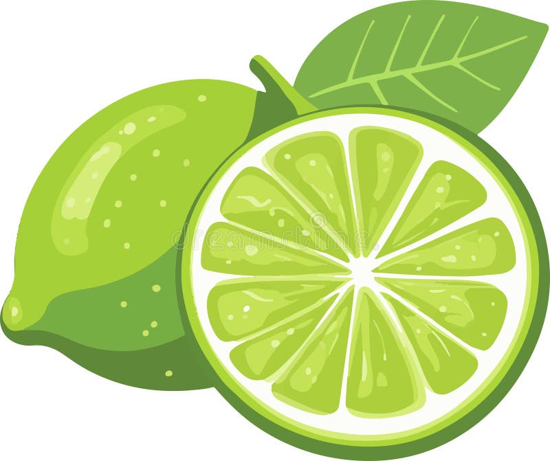 Lime Clipart Lime PNG Transparent Clipart | Gallery Yopriceville
