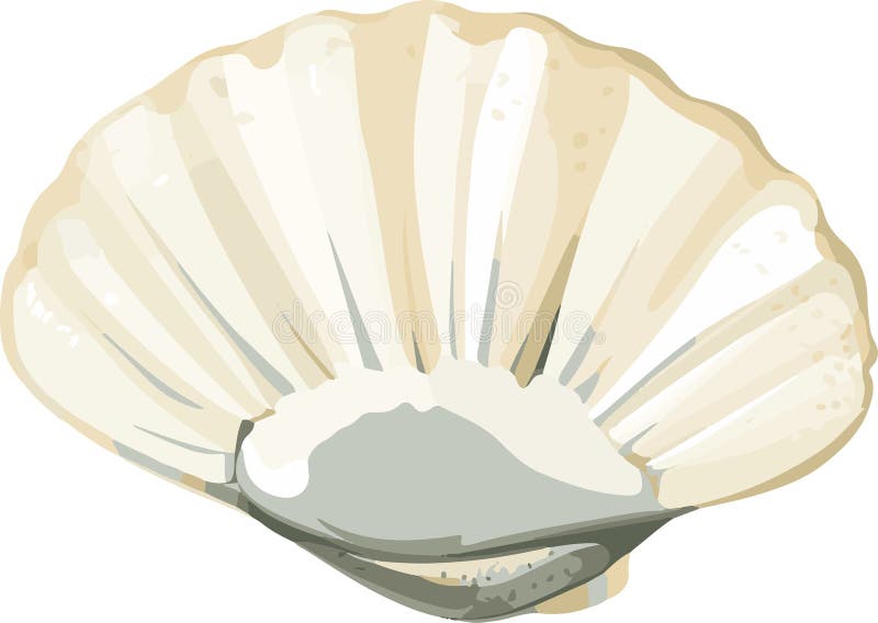 Simple Vector Limpet Clipart Stock Vector - Illustration of creative ...