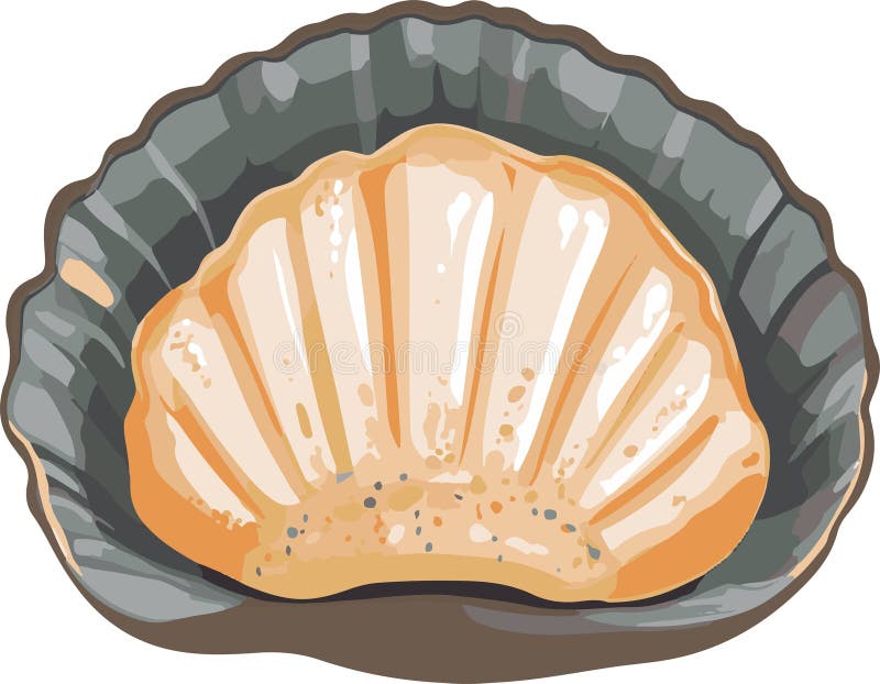 Limpet Clipart Stock Illustrations – 7 Limpet Clipart Stock ...