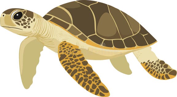 Simple Vector Loggerhead Turtle Clipart Stock Vector - Illustration of ...