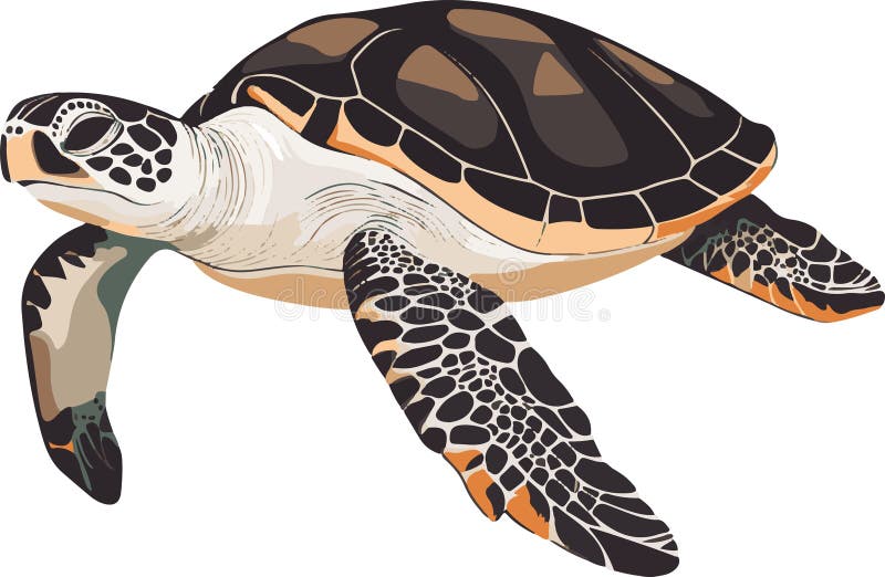 Simple Vector Loggerhead Turtle Clipart Stock Vector - Illustration of ...