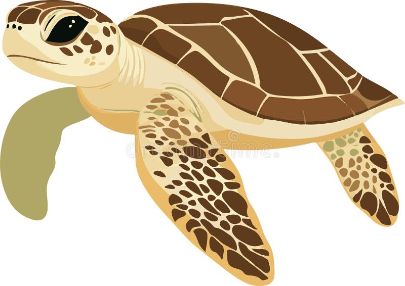Simple Vector Loggerhead Turtle Clipart Stock Vector - Illustration of ...