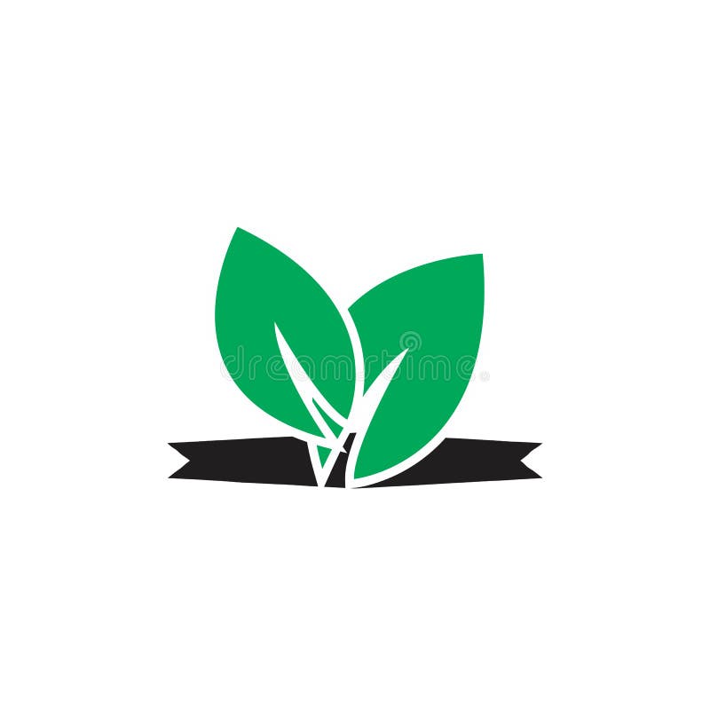 Vector logo design stock vector. Illustration of green - 245073114