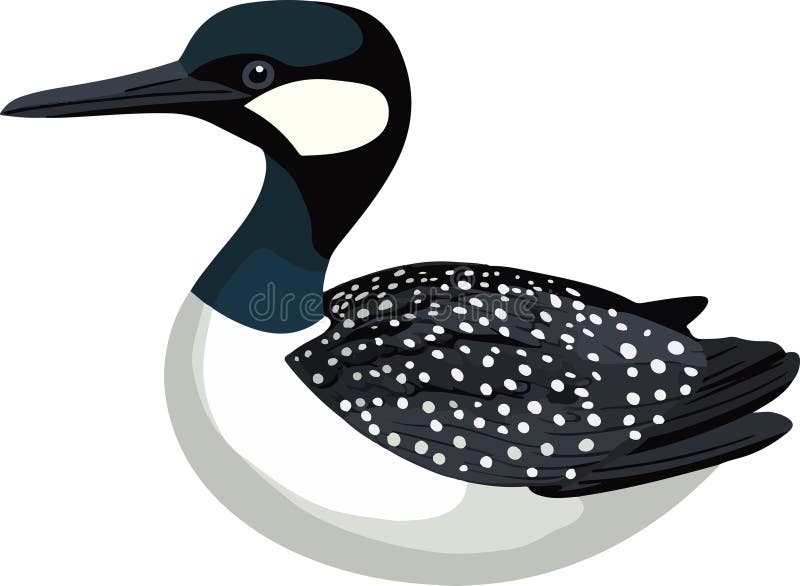 Simple vector loon clipart stock vector. Illustration of graphic ...