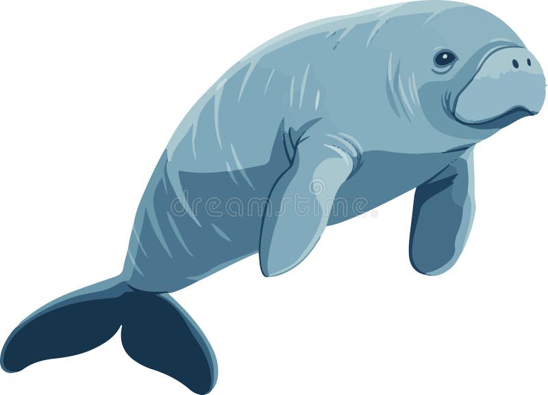 Simple Vector Manatee Clipart Stock Vector - Illustration of graphics ...