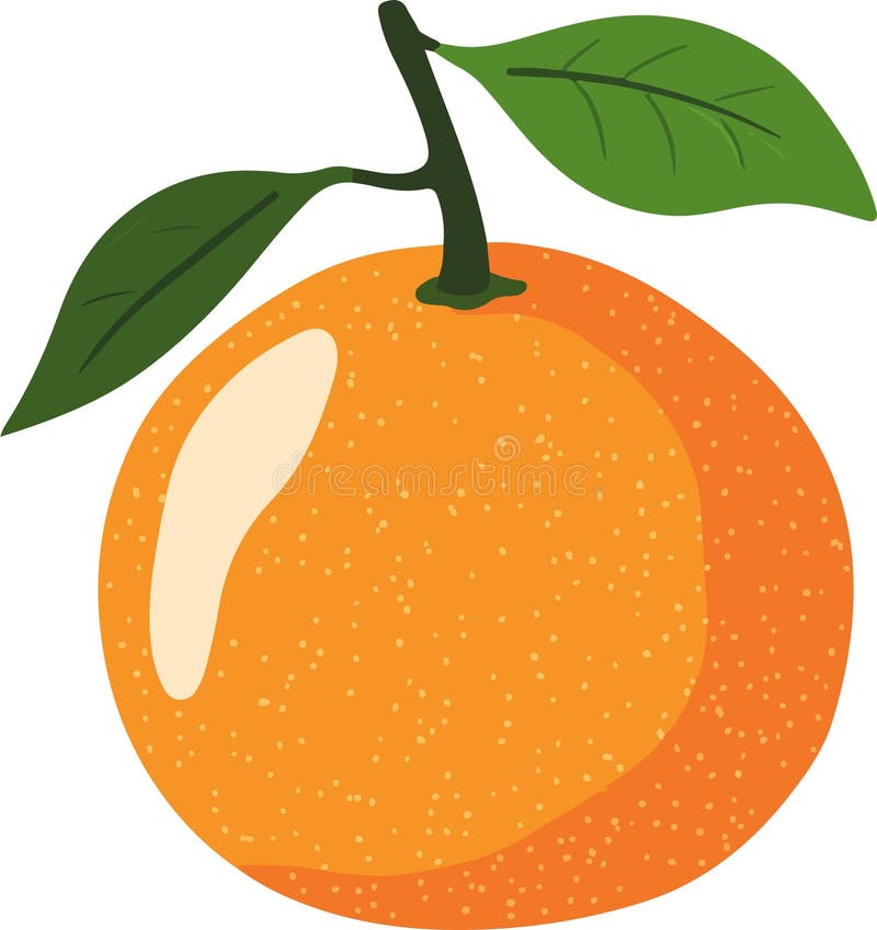 Simple Vector Mandarin Orange Clipart Stock Vector - Illustration of ...