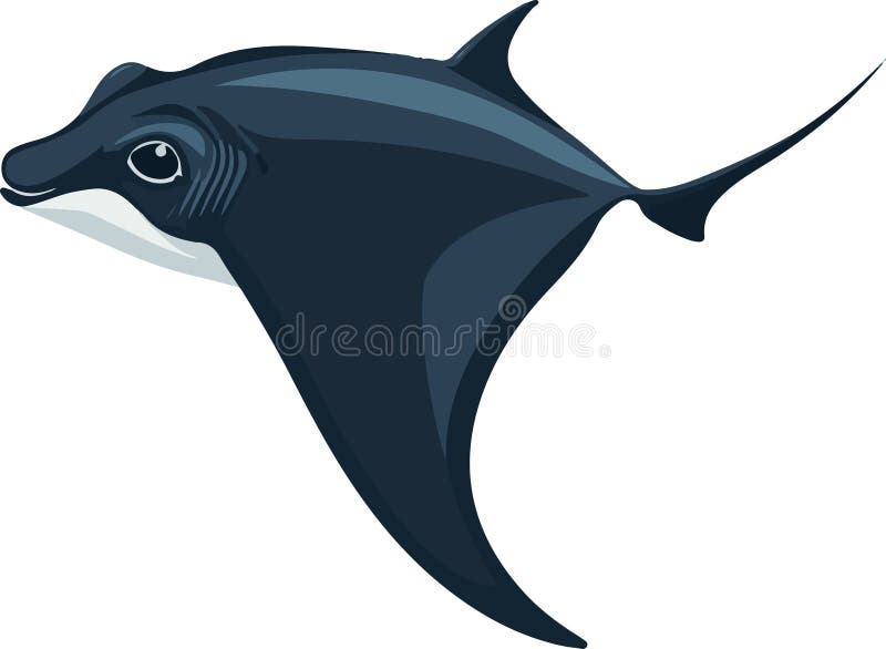 Simple Vector Manta Ray Clipart Stock Vector - Illustration of graphic ...