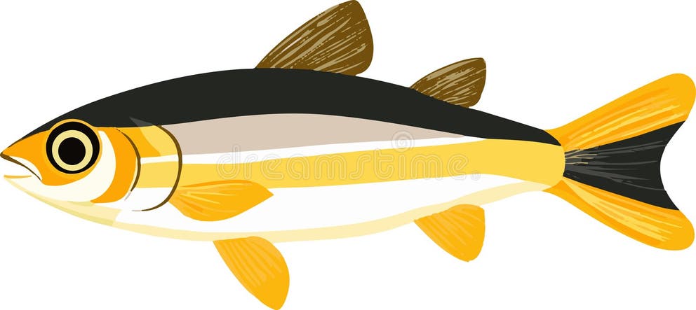 Simple Vector Minnow Clipart Stock Vector - Illustration of ...