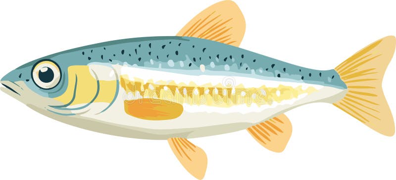 Simple Vector Minnow Clipart Stock Vector - Illustration of editable ...