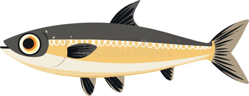 Simple Vector Minnow Clipart Stock Vector - Illustration of minimalist ...
