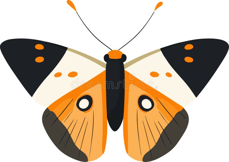 Simple vector moth clipart stock vector. Illustration of style - 350477533