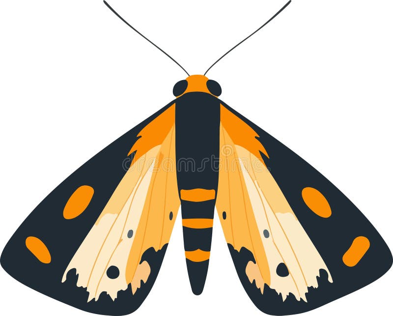 Simple vector moth clipart stock vector. Illustration of vector - 350477536